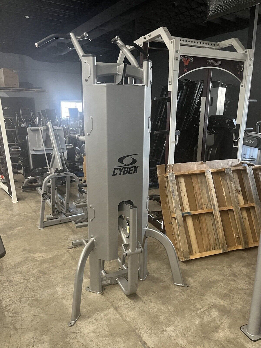 Cybex Free Standing Dip / Chin Assist Commercial Gym Equipment – BNB ...